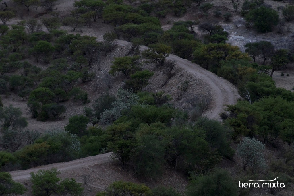 Francisco Javier Leyva – Los pueblos del tren V