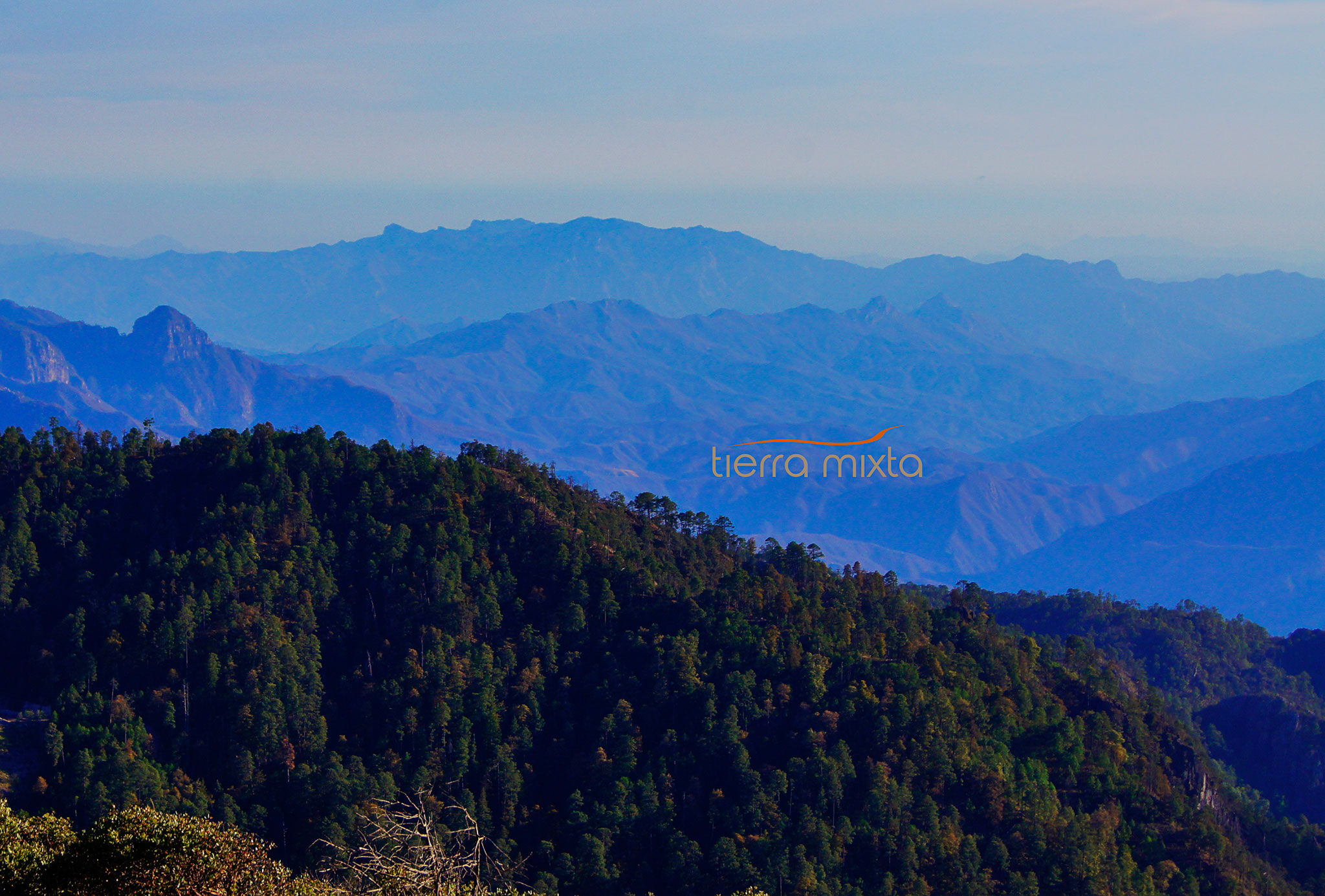 Ciénega de Nuestra Señora de Guadalupe
